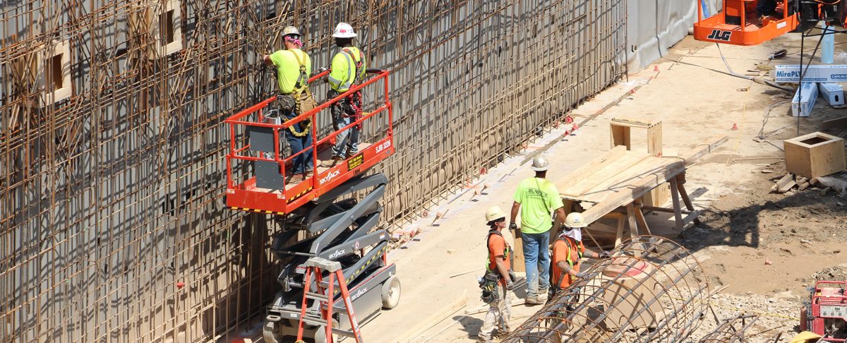 working-on-wall - Tarlton